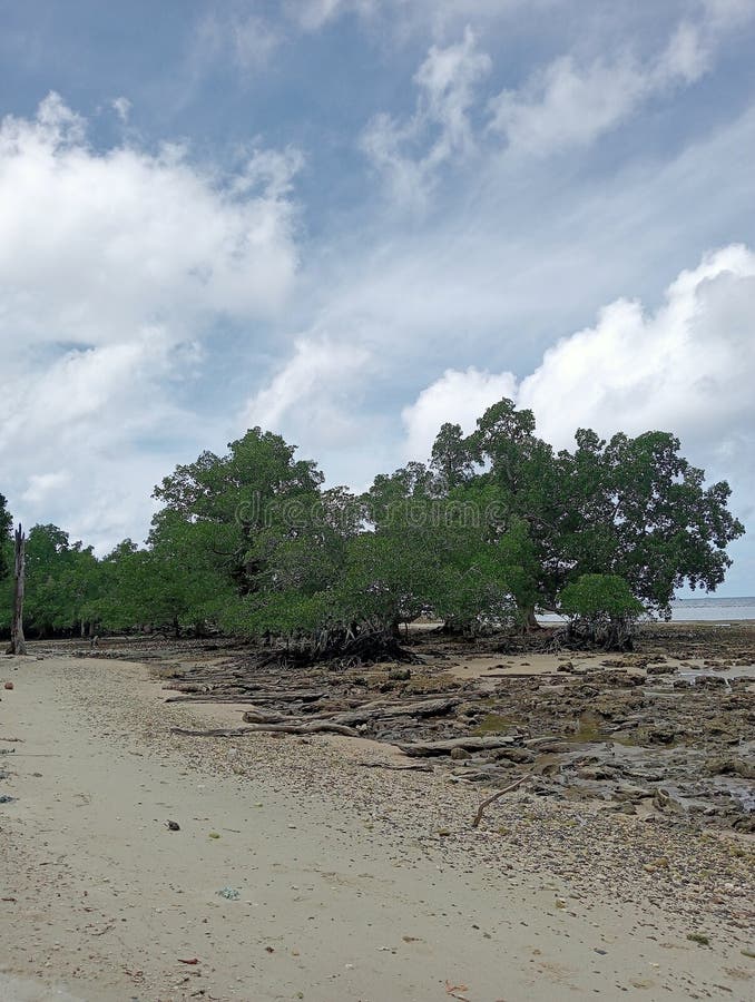 Coastal shore in bakawan stock image. Image of soil - 287657895