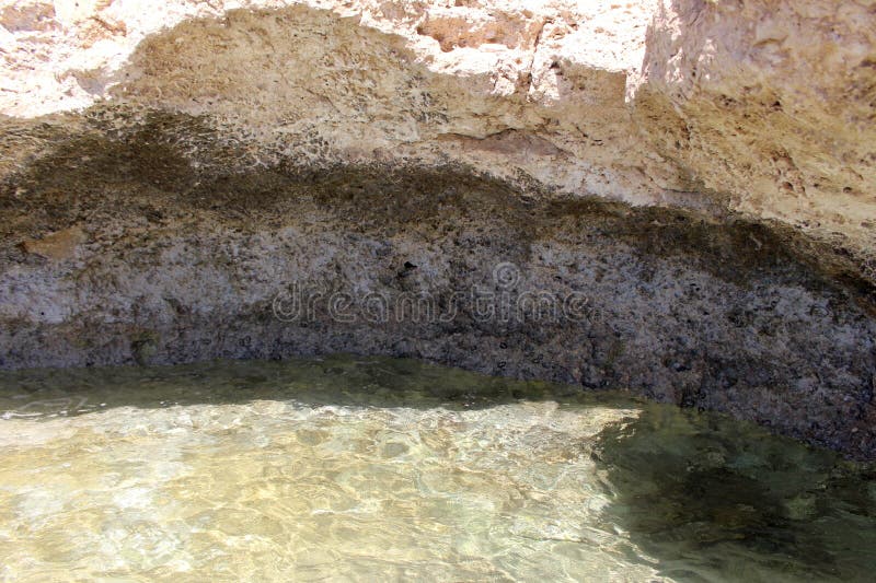 Coastal Tide Pool Beneath Overhanging Rock with Algae Covered Walls ...