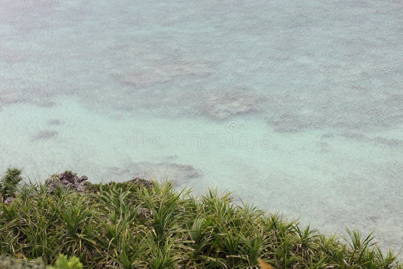 Coastal Vegetation Shallow Water Taken from Above Stock Photo - Image ...