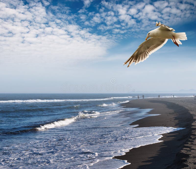 Coastal view stock image. Image of breeze, seagull, environment - 2073207