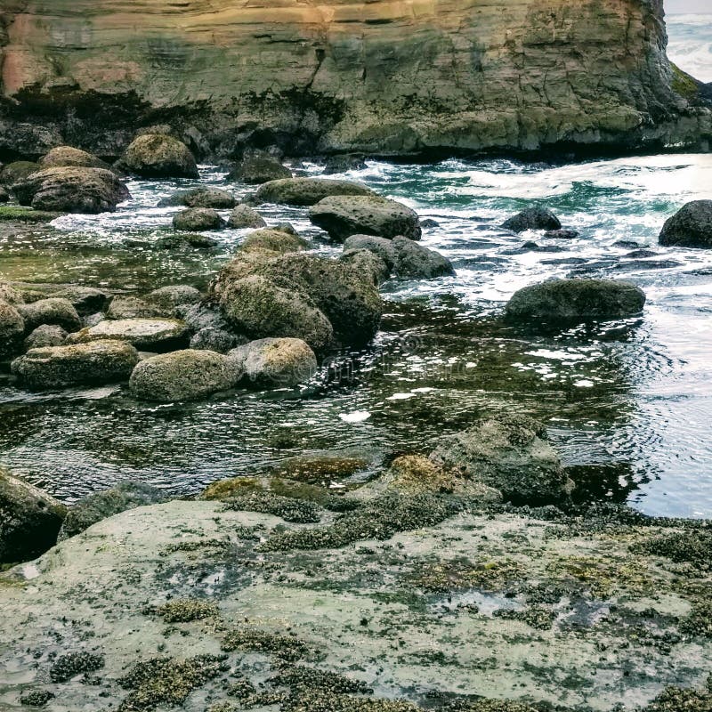 Coastal Waters stock photo. Image of waters, oregon - 114254474