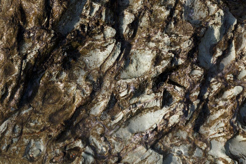 Coastal wet rock close up stock image. Image of texture - 152272461