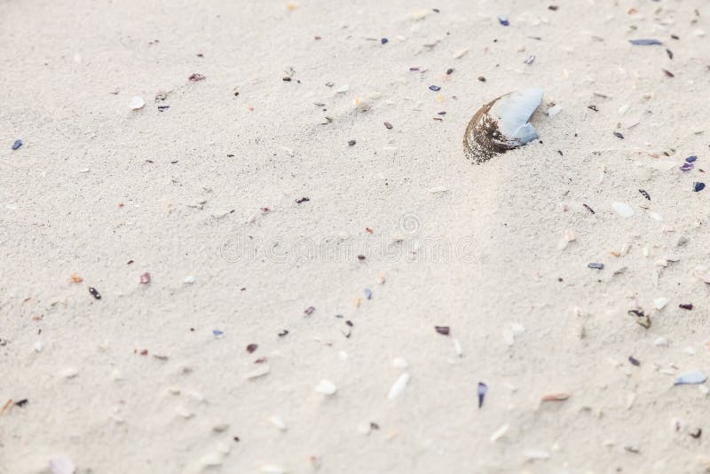 Coastal Beach Sand Texture Pattern for Design Background Stock Photo ...