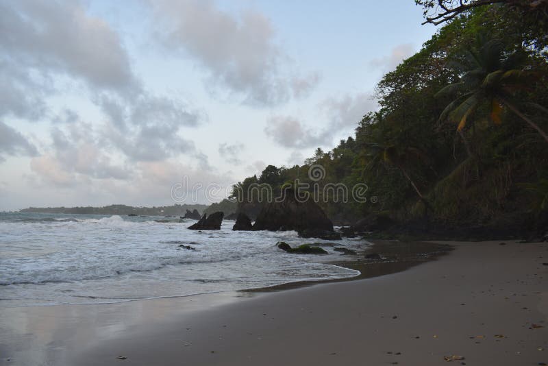 Coastline Along Toco, Trinidad and Tobago Stock Image - Image of tobago ...