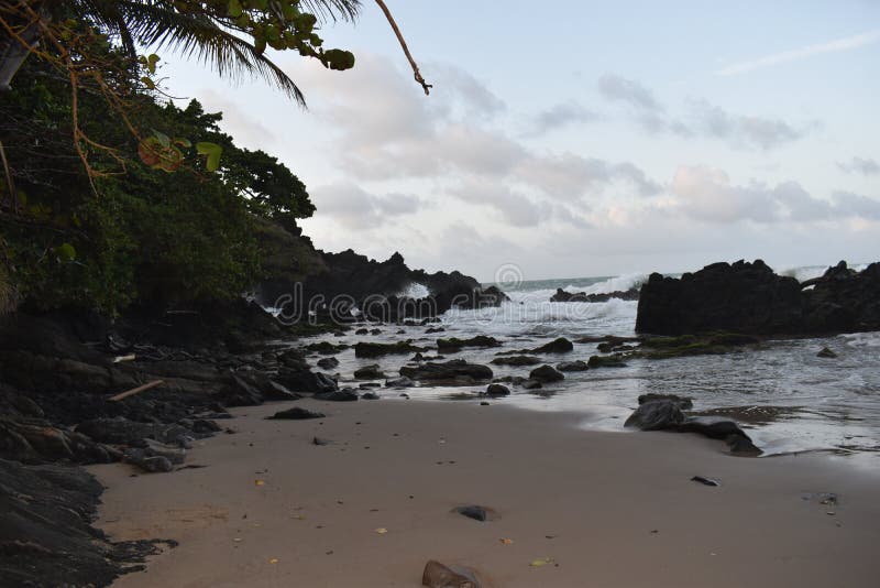 Coastline Along Toco, Trinidad and Tobago Stock Image - Image of ...