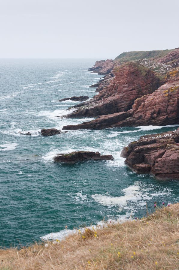 A Coastline at the Arbroath Cliffs in Scotland Stock Image - Image of ...