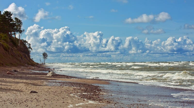 Beautiful Plot of the Lithuanian Baltic Coast. Stock Image - Image of ...