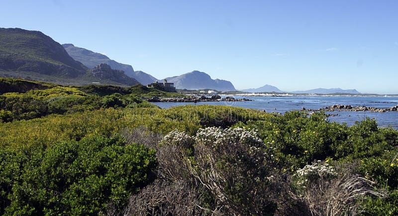 Coastline, Cape Peninsula, South Africa Stock Photo - Image of summer ...