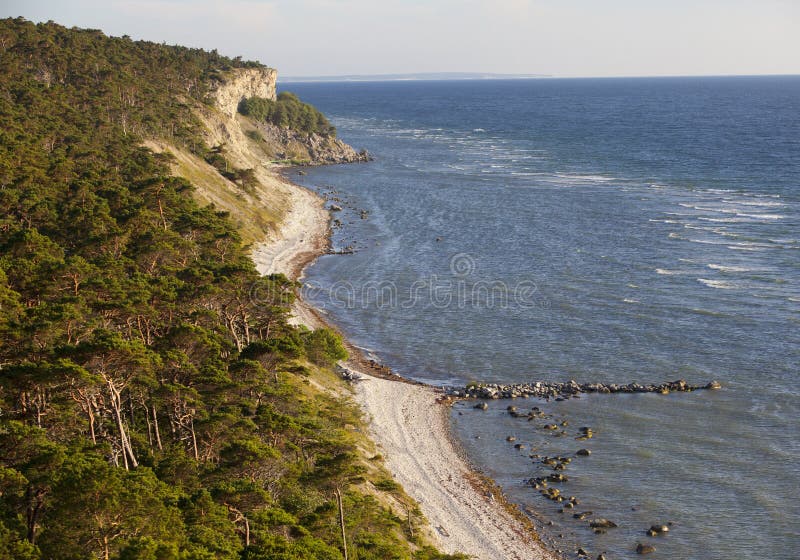 Coastline on the Island Gotland.GN Stock Image - Image of tree, cliff ...
