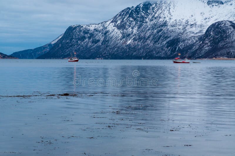 Coastline in Kvaloya Village in Norway Stock Image - Image of kvaloya ...