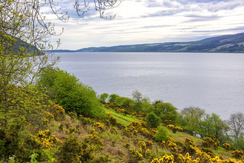 Coastline of the Loch Ness River in Scotland Stock Photo - Image of ...