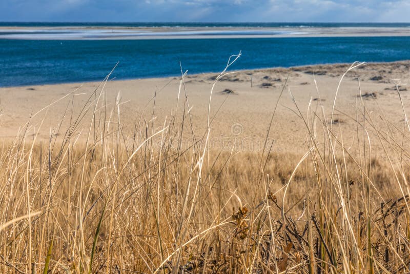 Coastline with Sandy Beach at Cape Cod in Winter Stock Photo - Image of ...