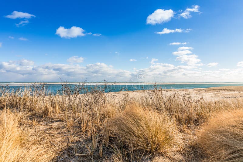 Coastline with Sandy Beach at Cape Cod in Winter Stock Image - Image of ...