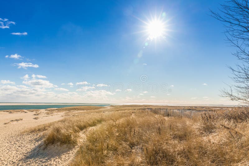 Coastline with Sandy Beach at Cape Cod in Winter Stock Image - Image of ...
