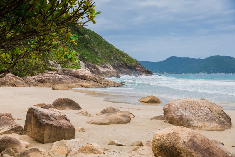 Coastline with Sandy Beach and Ocean with Waves in Brazil Stock Photo ...