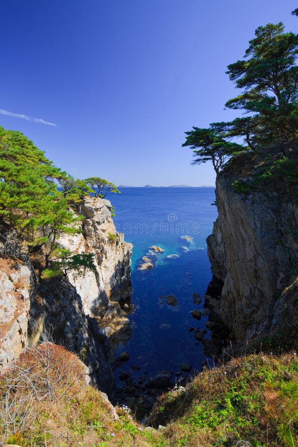 Coastline trees 19 stock image. Image of leaf, summer - 7512397