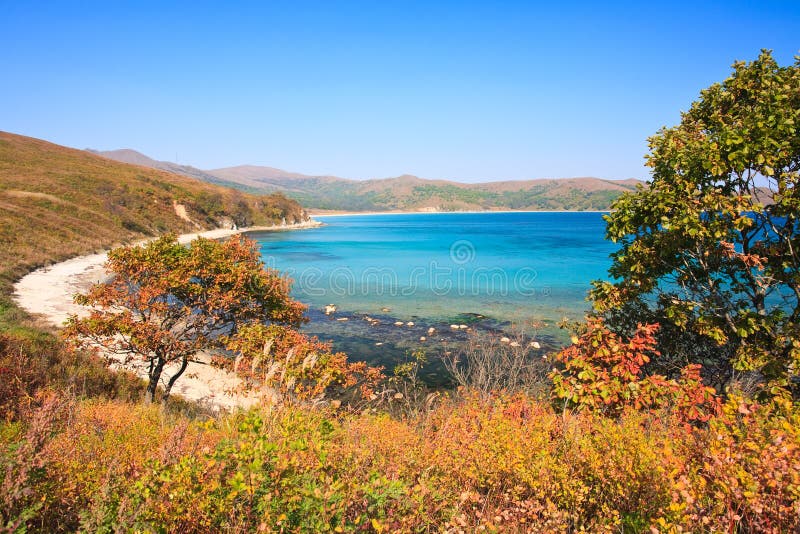 Coastline trees 2 stock photo. Image of water, color, branch - 7498982