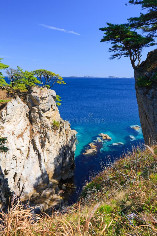 Coastline trees 23 stock photo. Image of idyllic, leaf - 7512456