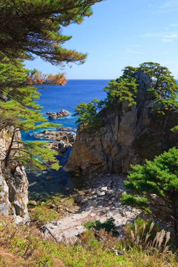 Coastline trees 25 stock image. Image of horizon, branch - 7512485