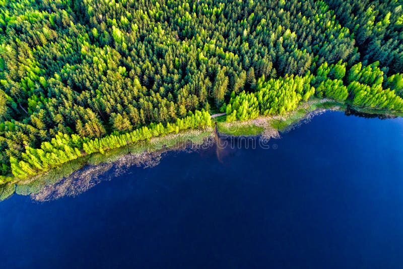 Coastline View from the Drone, Forest on the Coast Stock Photo - Image ...