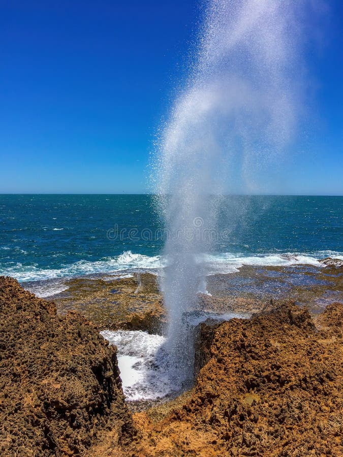Coastline in Western Australia in Springtime Stock Photo - Image of ...