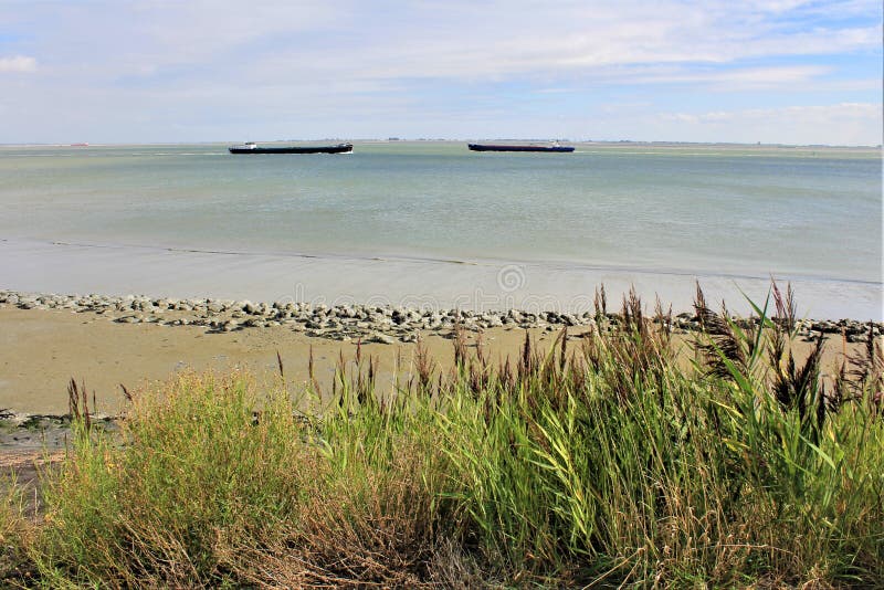 A Coastline in Zeeland, in the Netherlands Stock Photo - Image of ...