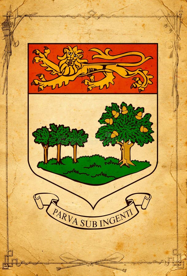 Coat of the Provinces of Canada on Parchment. in High Quality. Stock ...