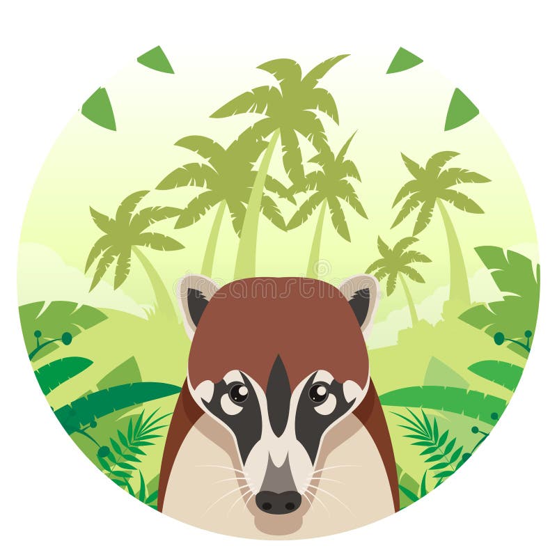 Coati Stock Illustrations – 166 Coati Stock Illustrations, Vectors ...