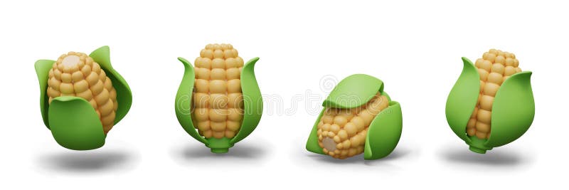 Cob of Corn with Green Leaves. Sweet Young Corn, Fresh Vegetable for ...