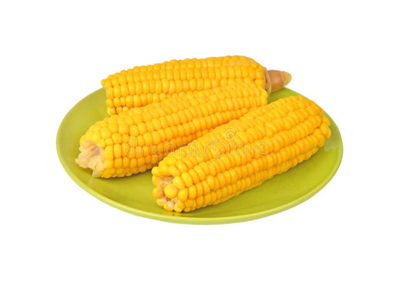 Cob of corn on green plate stock photo. Image of healthy - 57706238