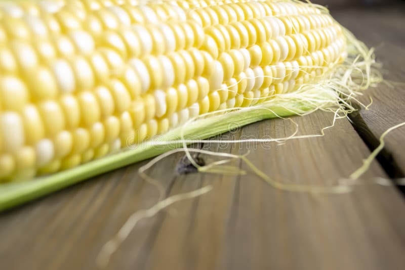 A Cob of Corn on the Table. a Head of Bicolored Corn with Green Leaves ...
