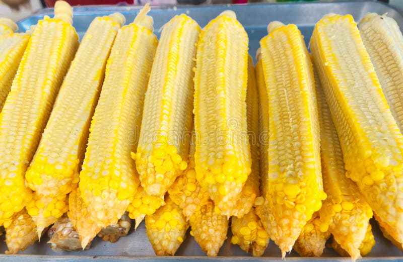 Cob of corn stock photo. Image of delicious, cuisine - 229141470