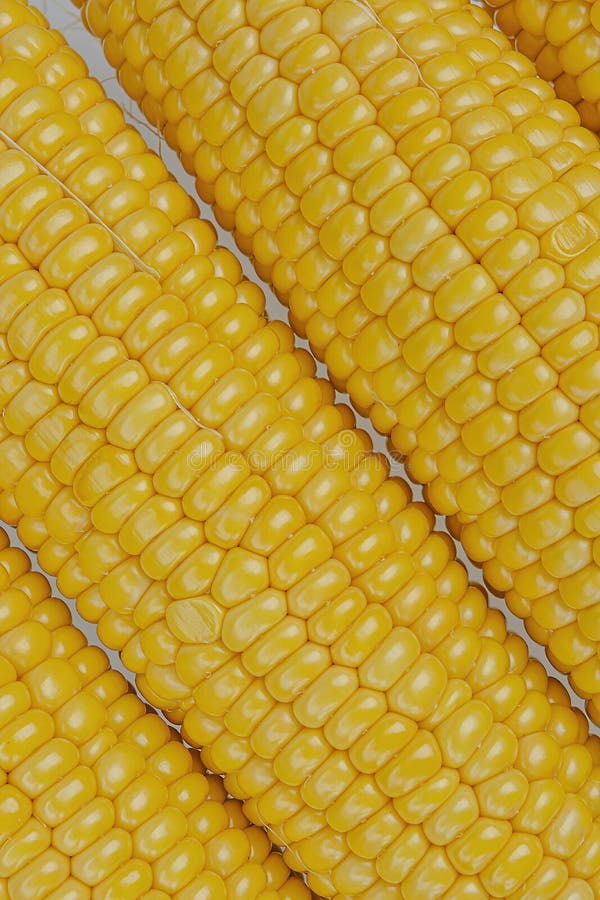 Cob Corn Yellow Natural Texture Close Up Stock Photo - Image of health ...