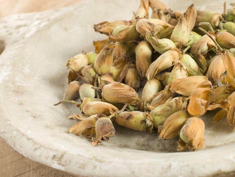 Cob Nuts stock photo. Image of group, ingredients, shot - 7230272