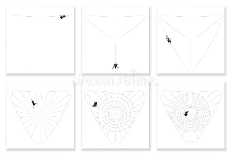 Cob Web Spider Spinning Orb Web Stock Vector - Illustration of ...