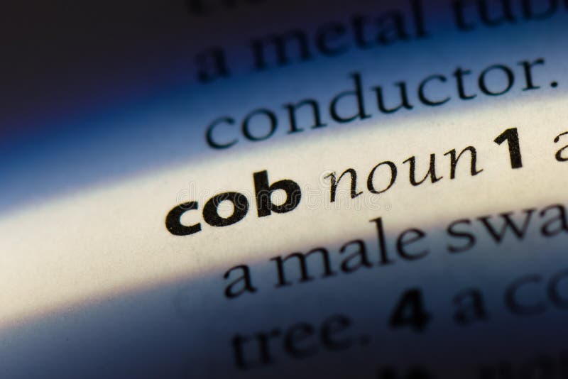 Cob stock photo. Image of printed, info, word, dictionary - 114405672