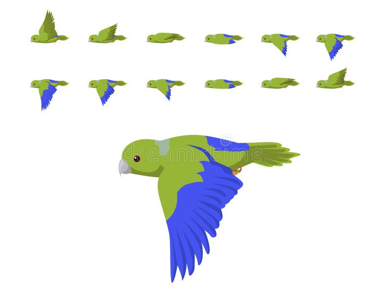 Cobalt-Rumped Parrotlet Forpus Parrot Flying Animation Sequence Cartoon ...