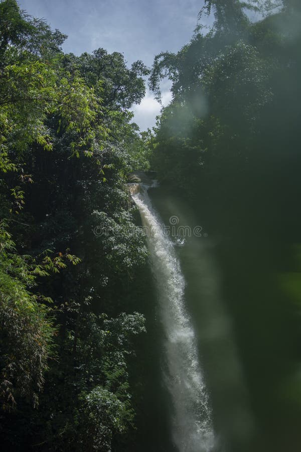 Coban Jahe waterfall stock image. Image of tree, malang - 204153907