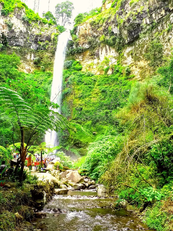 Coban Rondo from Malang City Stock Image - Image of coban, rondo: 193247949