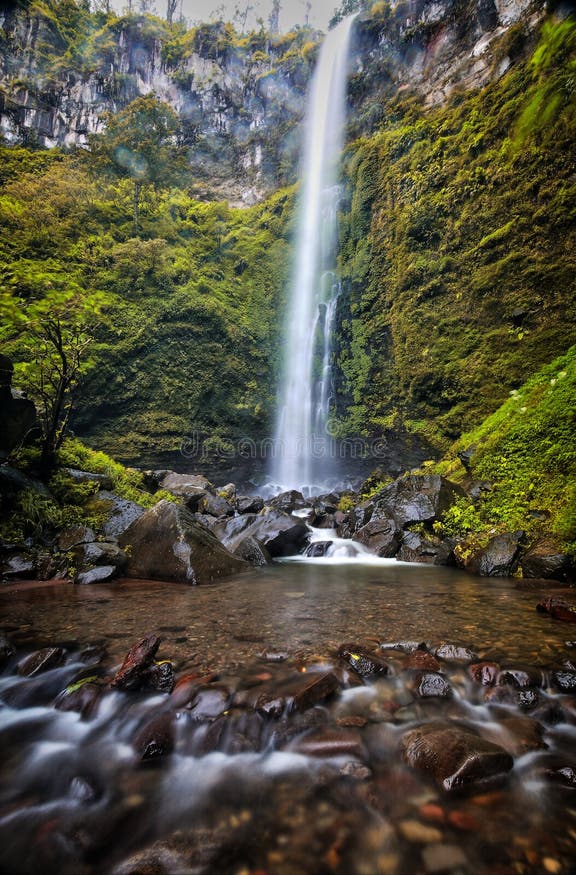 Coban Rondo Waterfall EastJava Stock Image - Image of stones, east ...