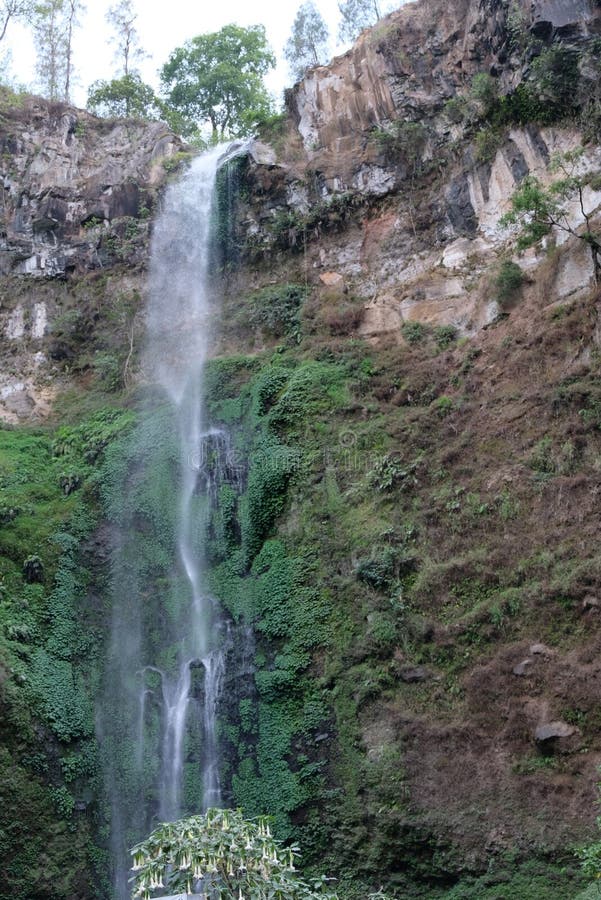 Coban Rondo waterfall stock photo. Image of plant, terrain - 263147304
