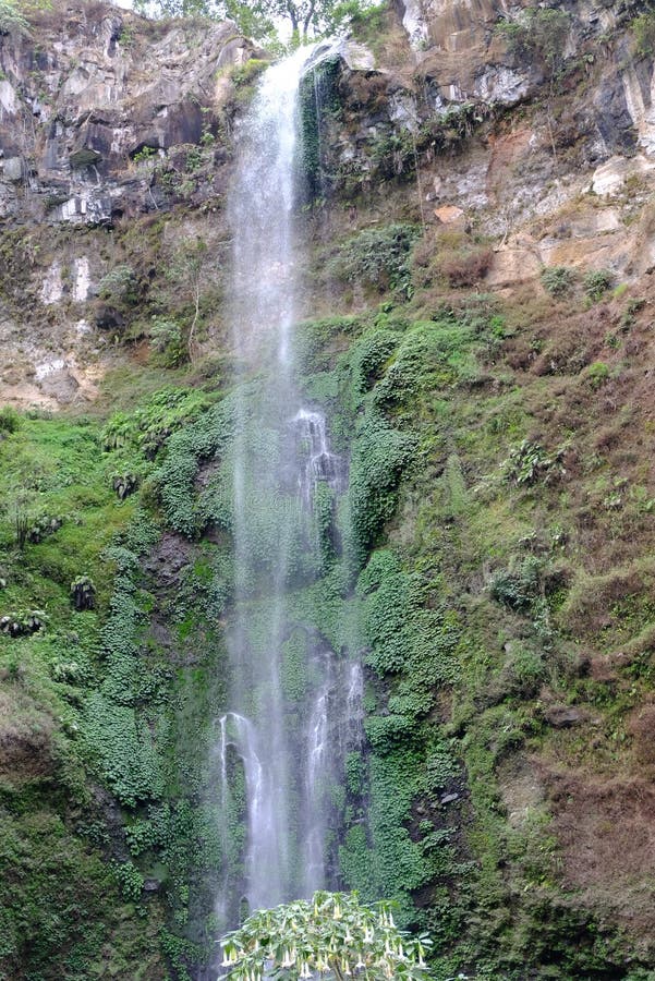 Coban Rondo waterfall stock photo. Image of clean, beautiful - 263147310