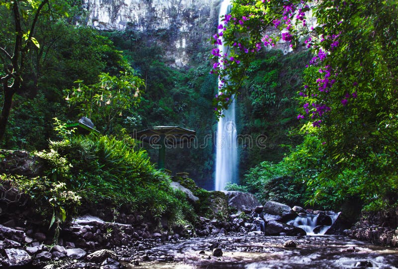 Coban Rondo waterfall stock photo. Image of water, waterfall - 50813784
