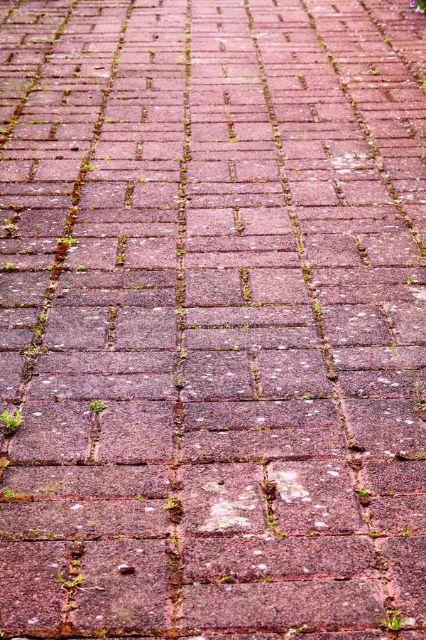 Cobbled path stock image. Image of cobble, pavement, plant - 27116893