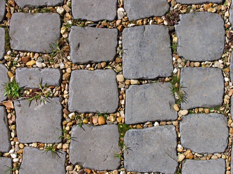 Cobbled path stock image. Image of shingle, weed, path - 659725