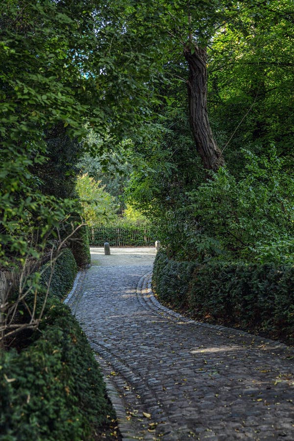 Cobbled Path in a Dense Green Park. Vertical Editorial Photography ...