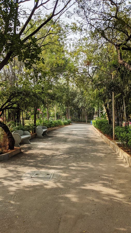 Cobbled Pathway with Rocks & Greenery Stock Image - Image of forest ...
