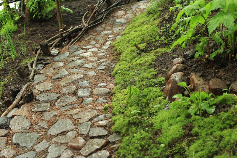 Cobbled pebble footpath stock photo. Image of pebble - 95624532