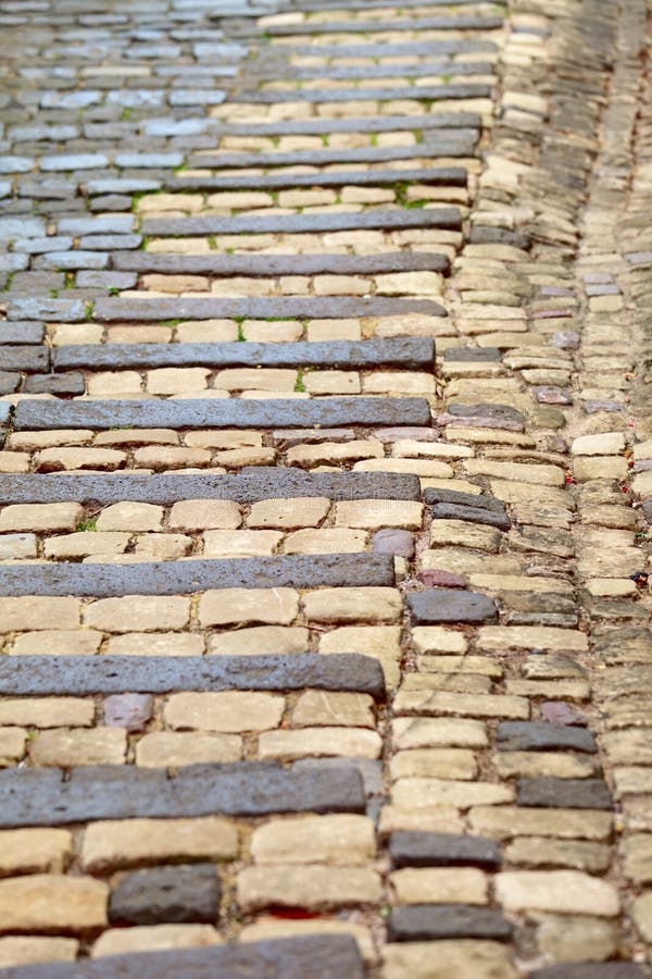 Cobbled path stock image. Image of cobble, pavement, plant - 27116893