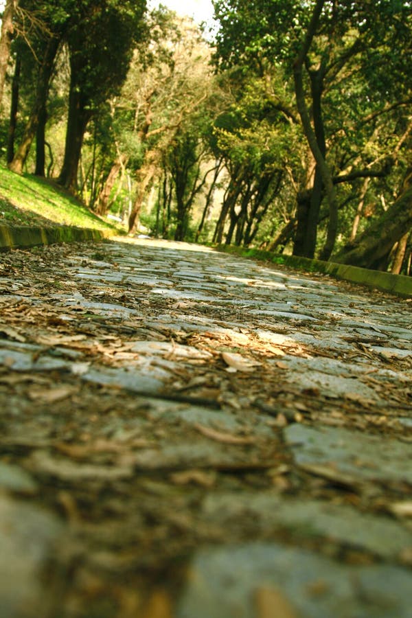 Cobbled Stone Road Background Stock Image - Image of cobbled, stone ...